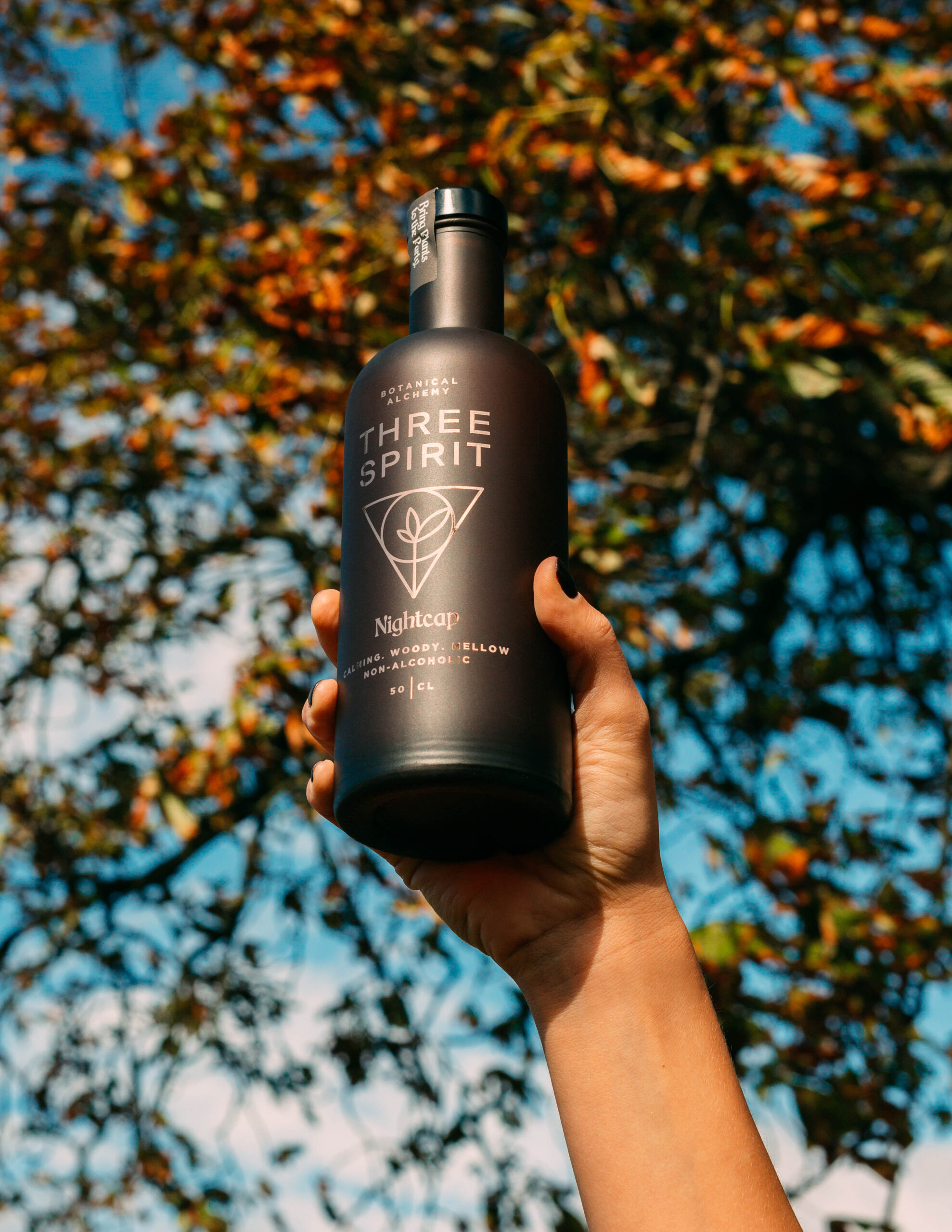 Three Spirit - Ten Locks